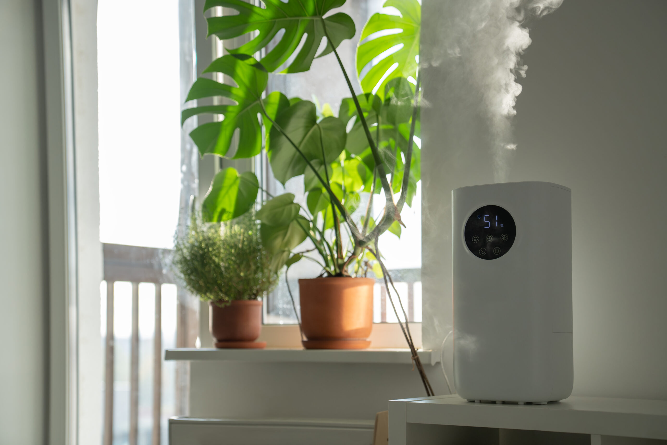 How to Choose the Best Air Purifiers